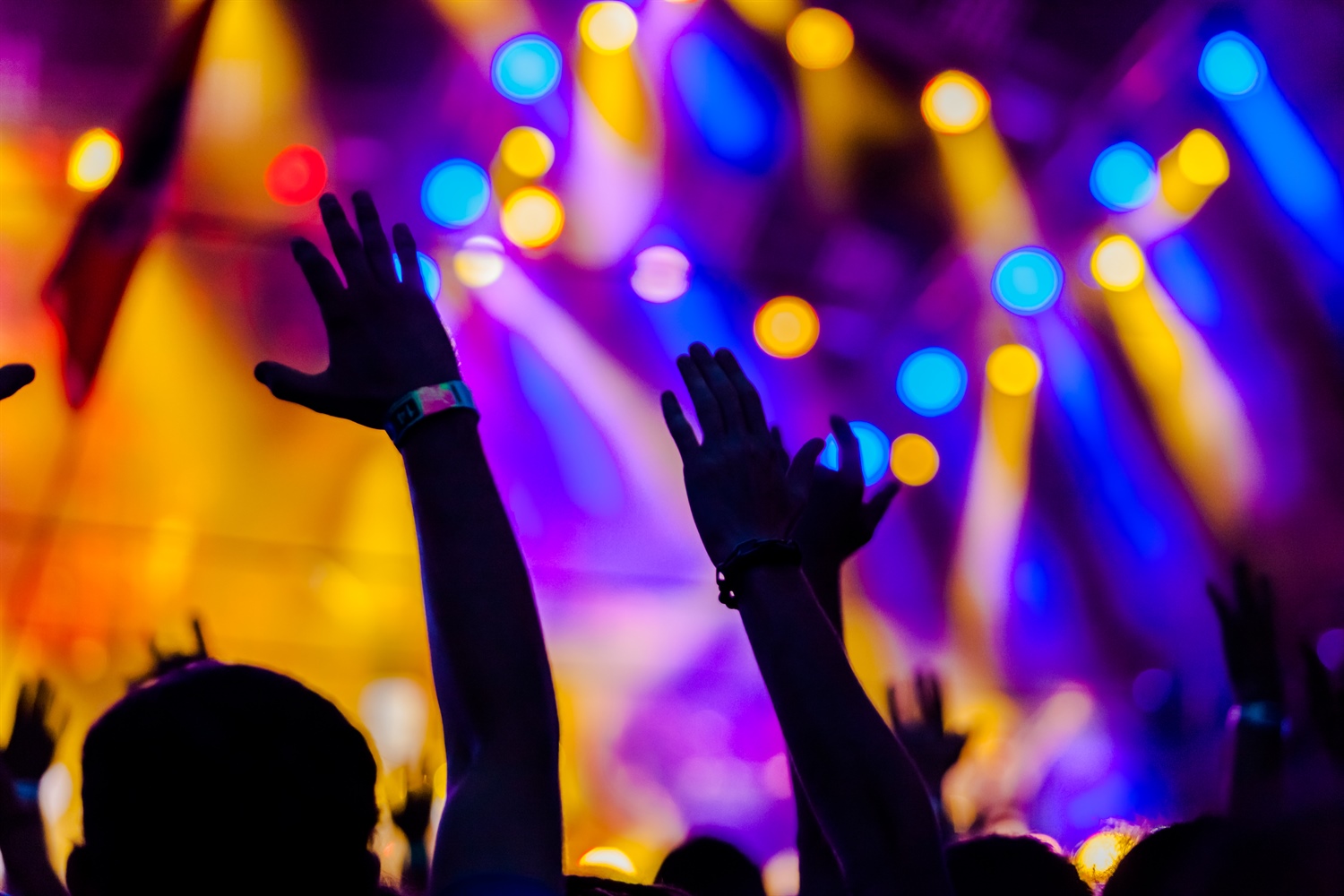 Millys Pantry | Events